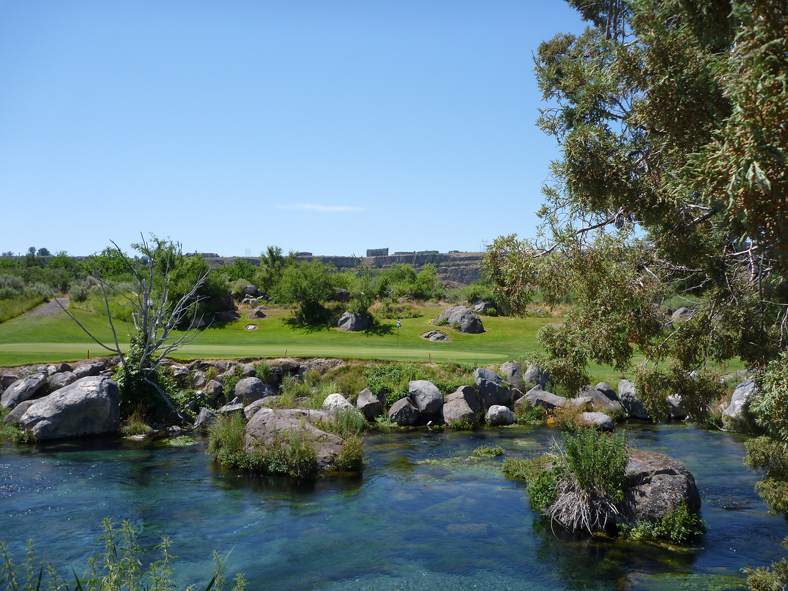 Golf Course Gurus | GolfCourseGurus