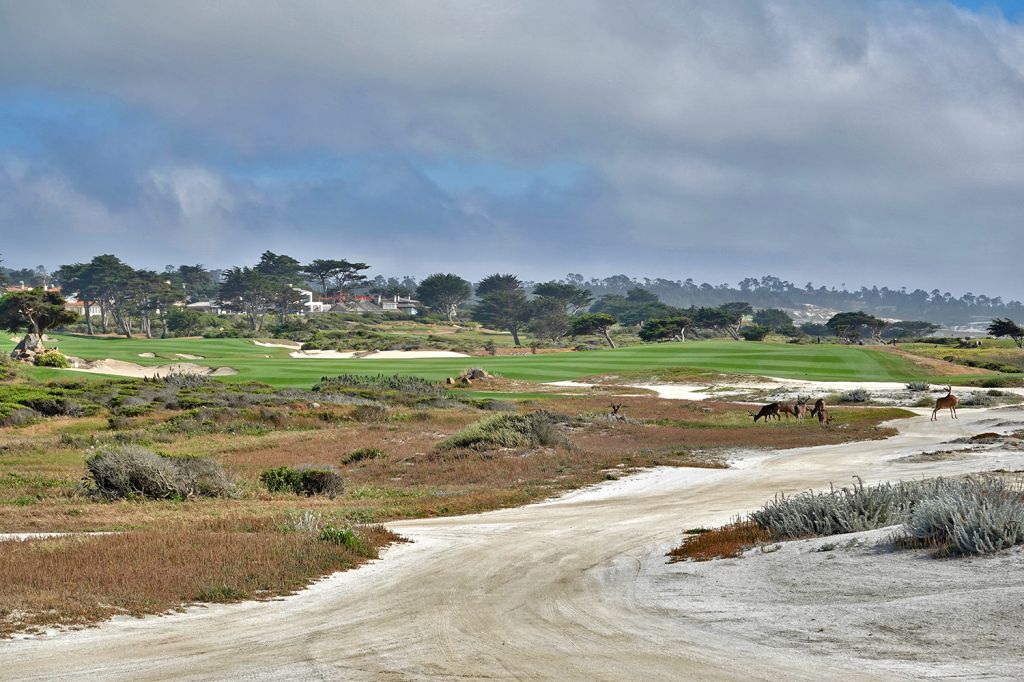 Photographs | GolfCourseGurus