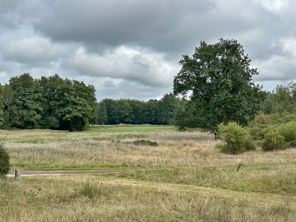 Les Bordes Golf Club (Old) (Saint-Laurent-Nouan, Loiret) | GolfCourseGurus
