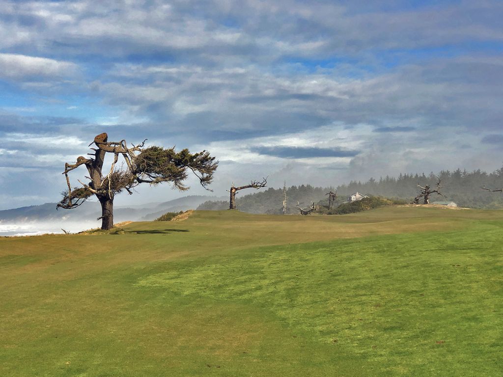 Sheep Ranch (Bandon, Oregon) | GolfCourseGurus