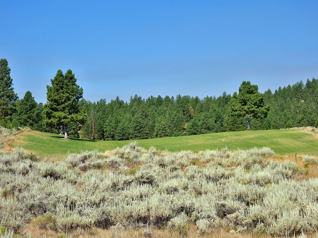 Photographs | GolfCourseGurus