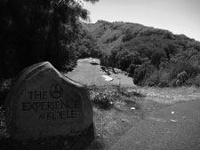 Rankings | GolfCourseGurus